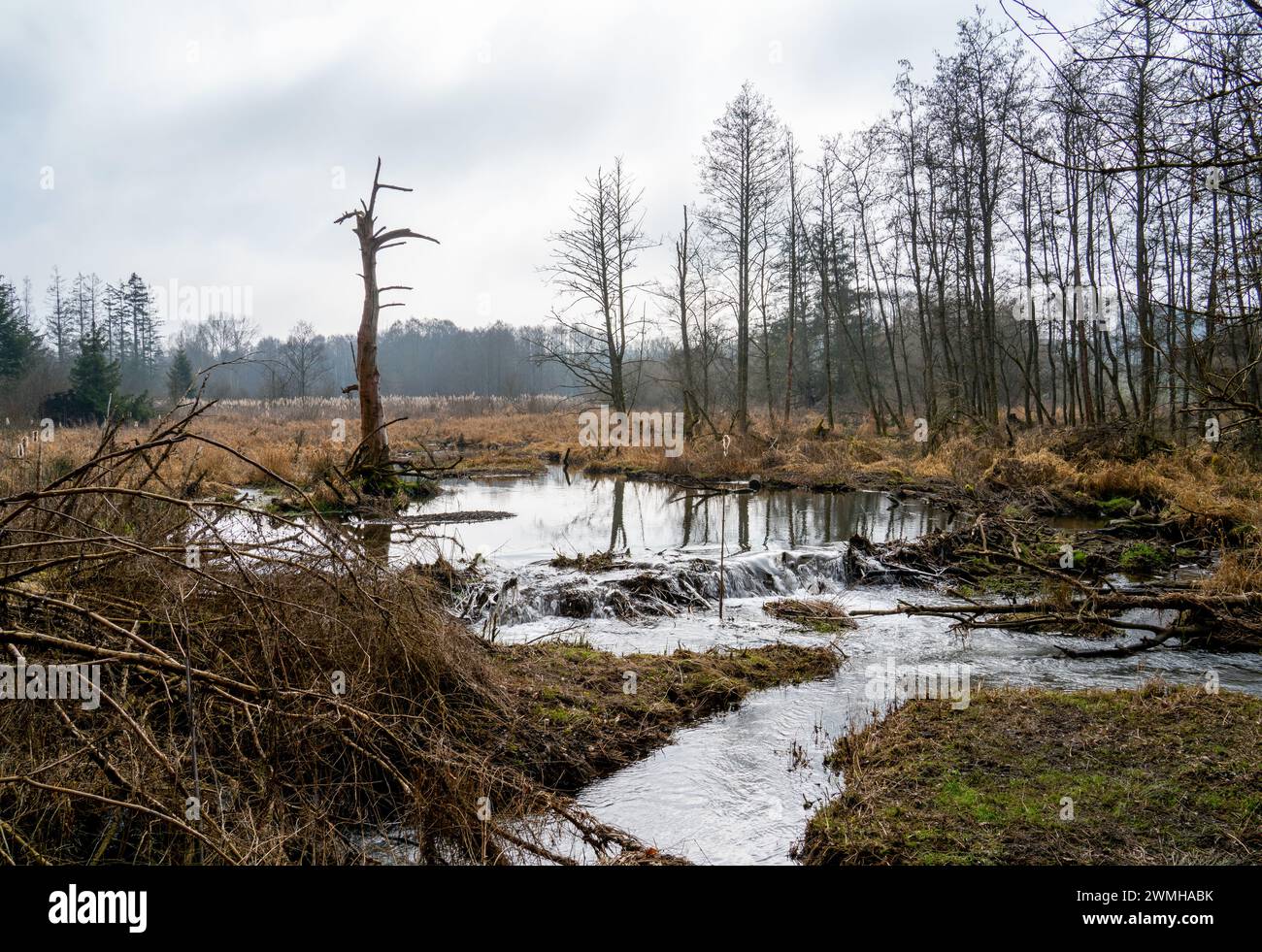 River Ourthe in the Ardennes, Belgium Stock Photo - Alamy