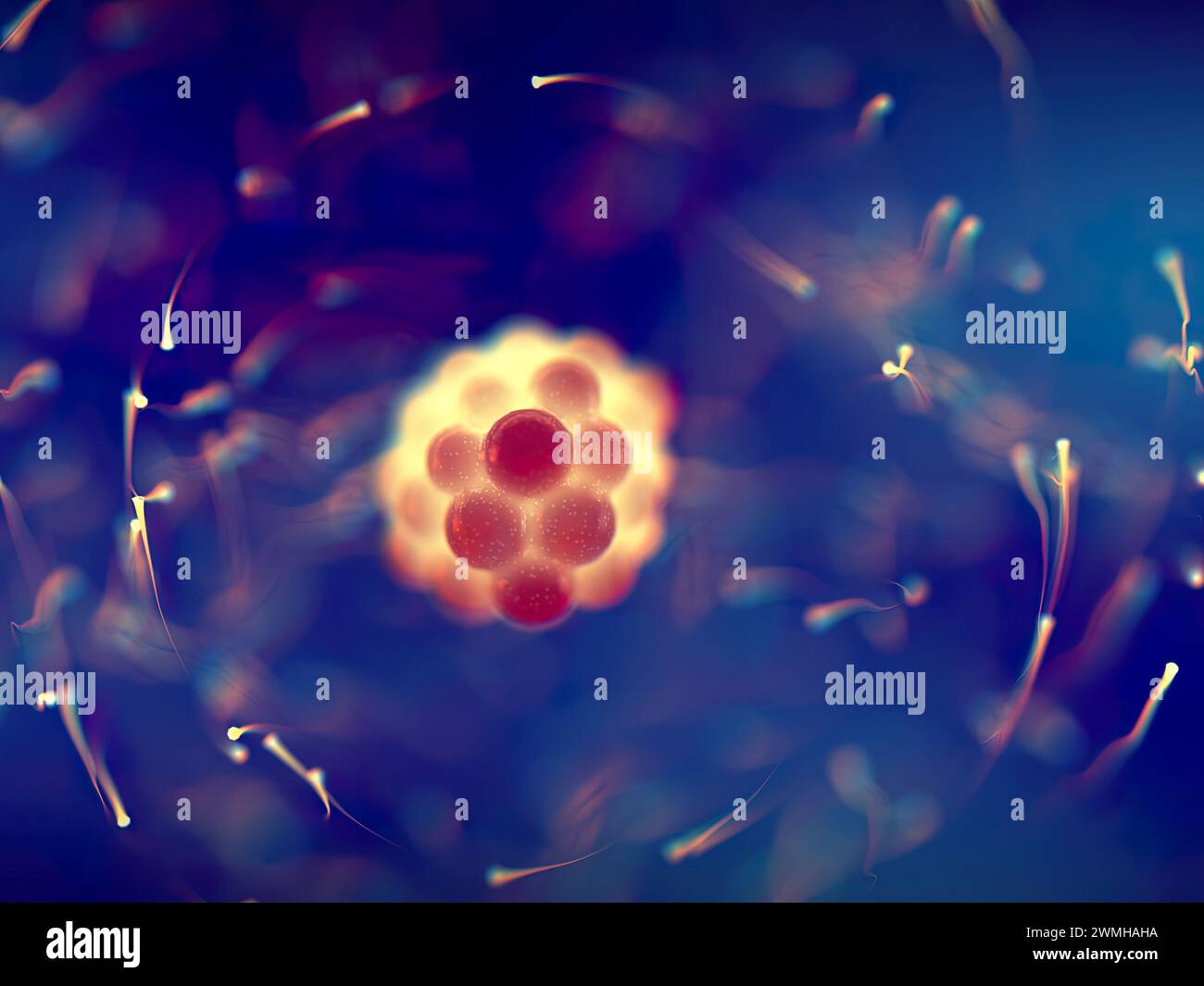Electron Cloud