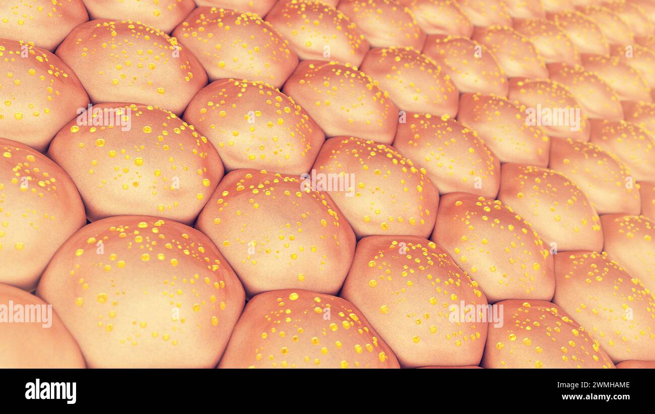 Skin cells covered by shower gel droplets. Skin care anti-aging ...