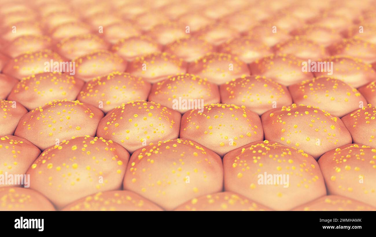 Skin cells covered by shower gel droplets. Skin care anti-aging ...