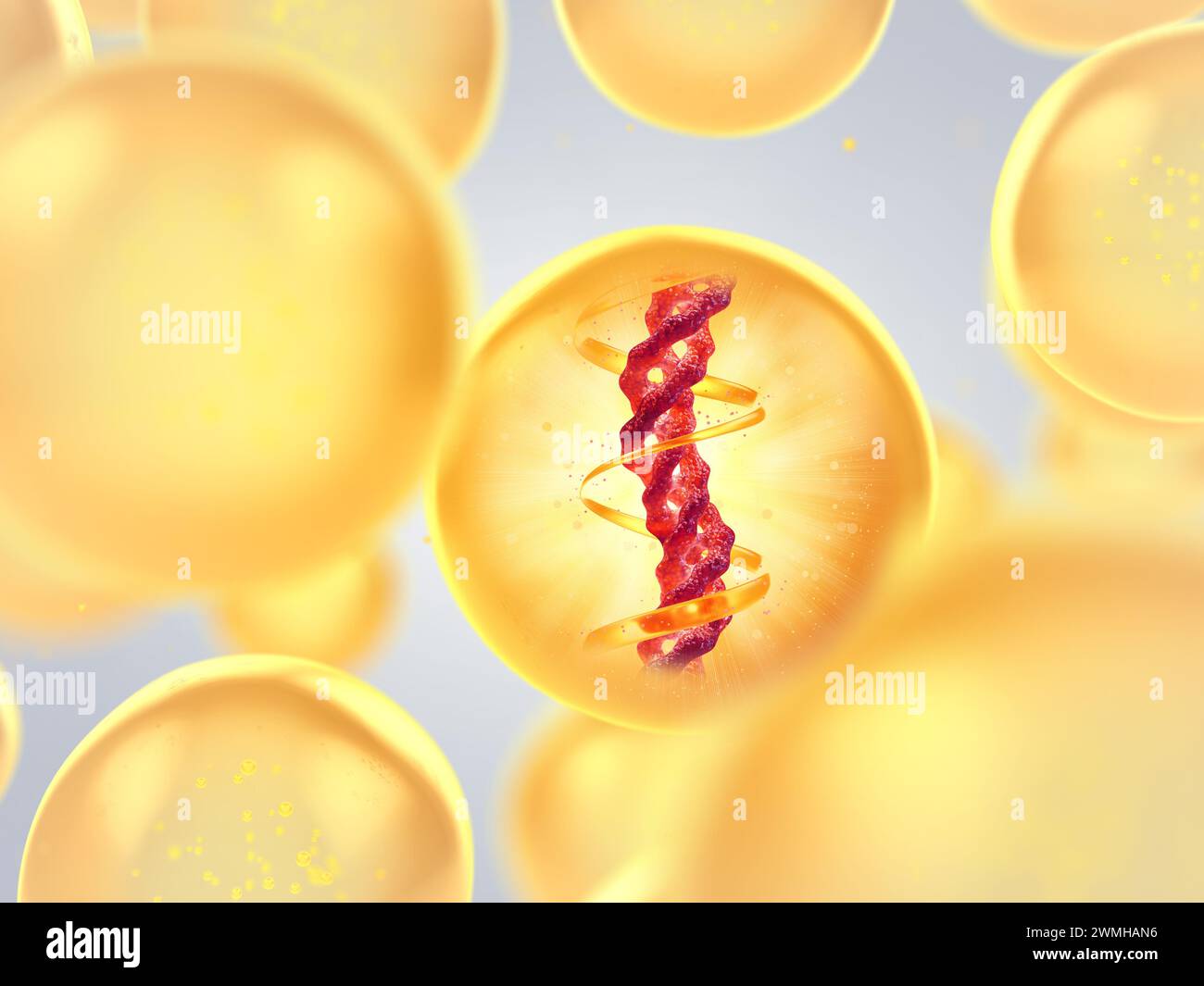 Collagen triple helix molecule inside shower gel droplet, Body and skin ...