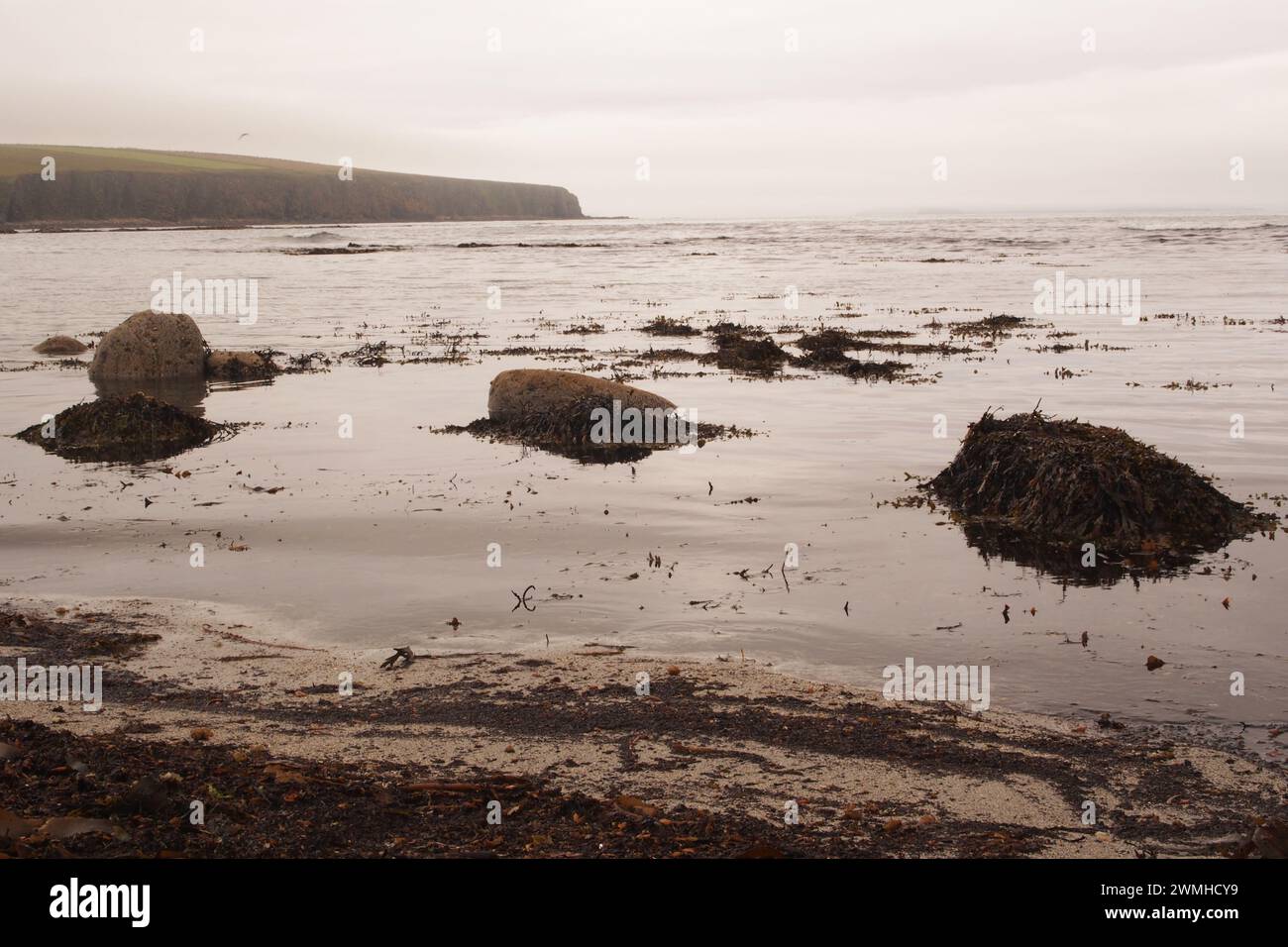 Rocks in the sea with seaweed and the headland at Taracliff Bay, Orkney ...