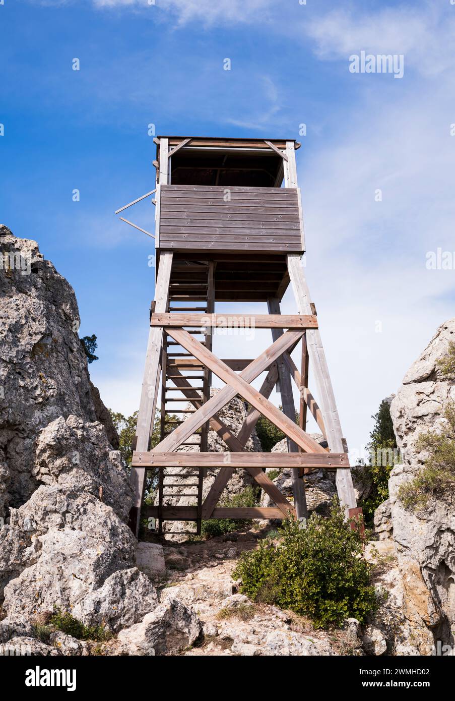 Wooden observation platform structure hi-res stock photography and ...