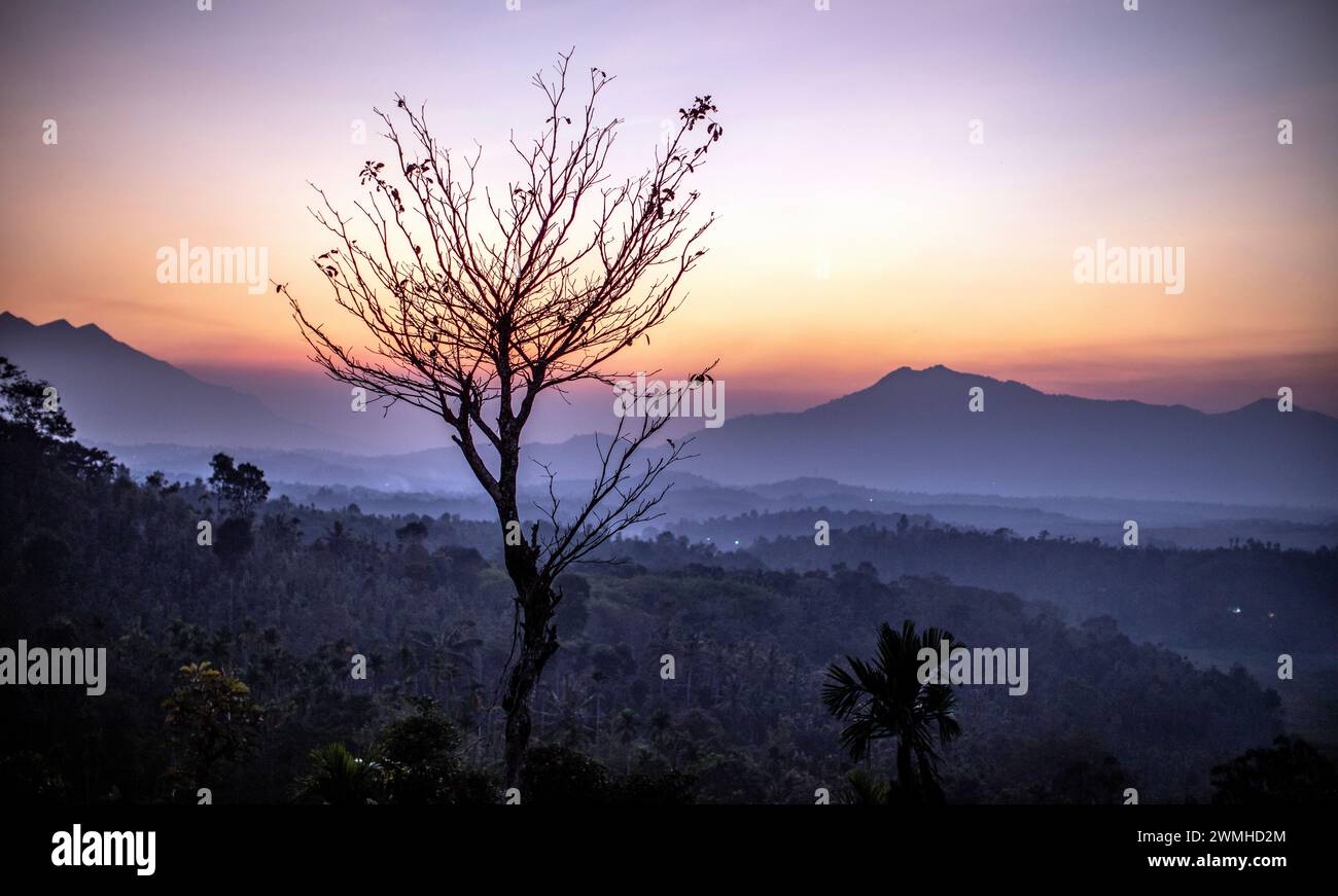 India wayanad hi-res stock photography and images - Alamy