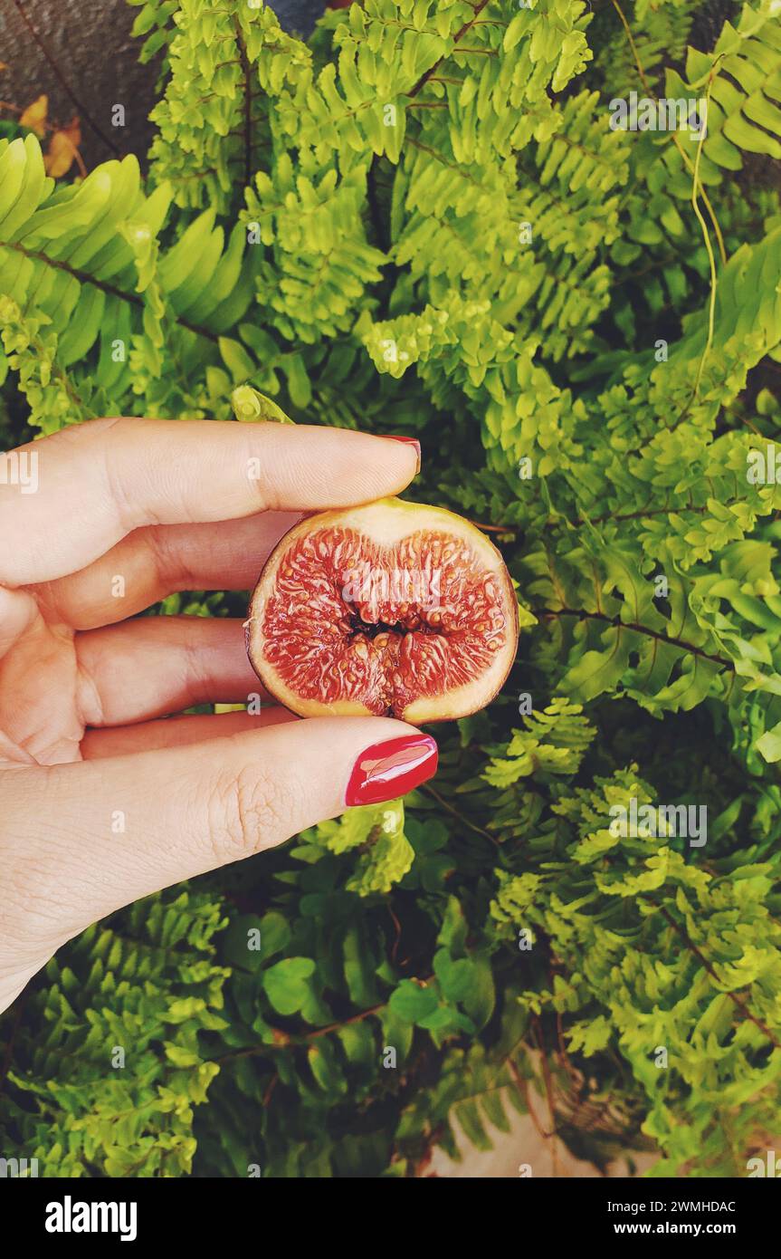 Eating a fig hi-res stock photography and images - Alamy