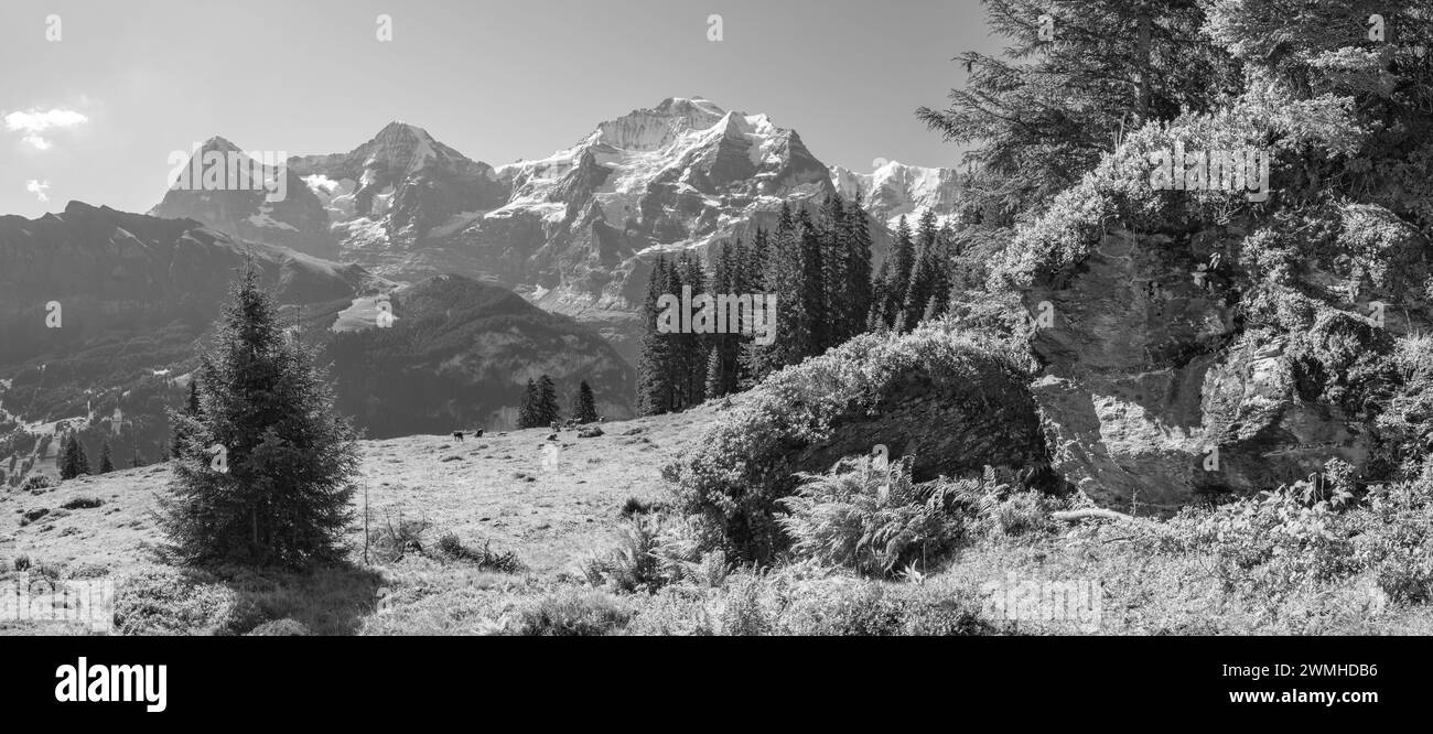The Bernese alps with the Jungfrau, Monch and Eiger peaks over the alps ...