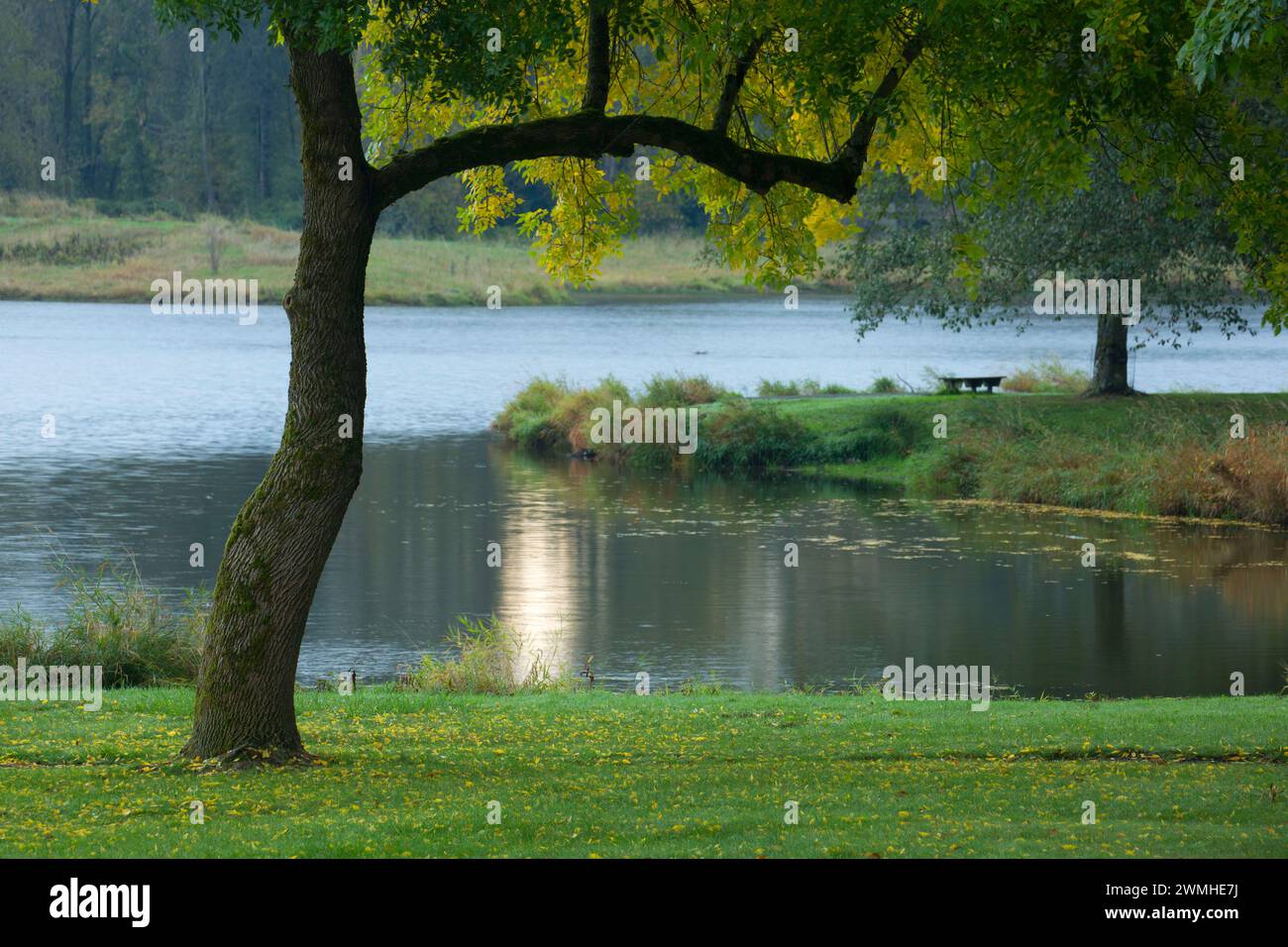 Trojan park hi-res stock photography and images - Alamy