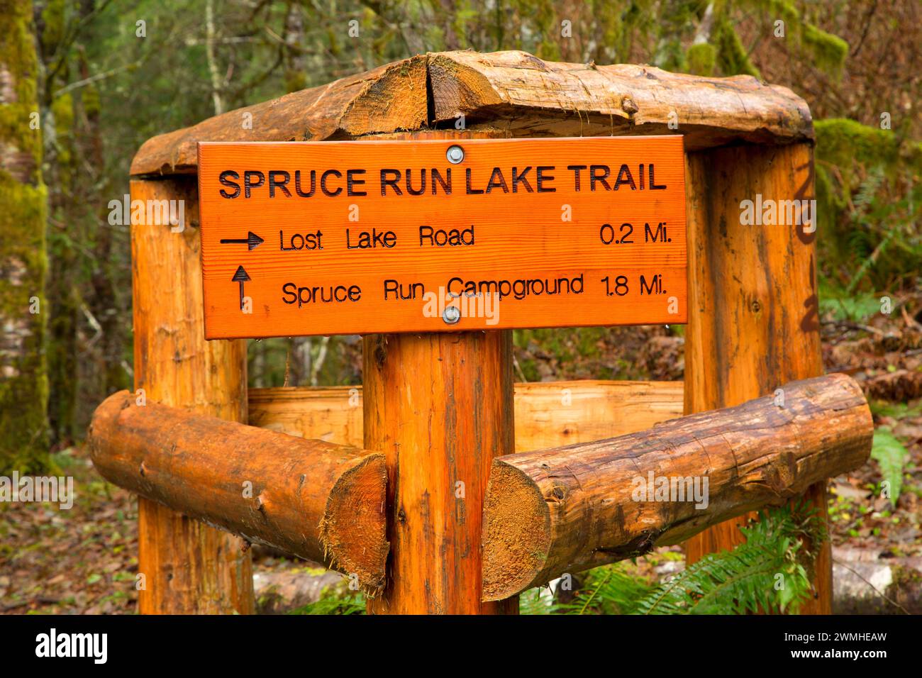 Spruce Run Creek Trail junction sign, Clatsop State Forest, Oregon ...