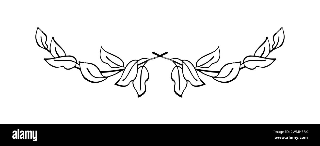 Hand drawn black laurel divider certificate. depicting an award ...