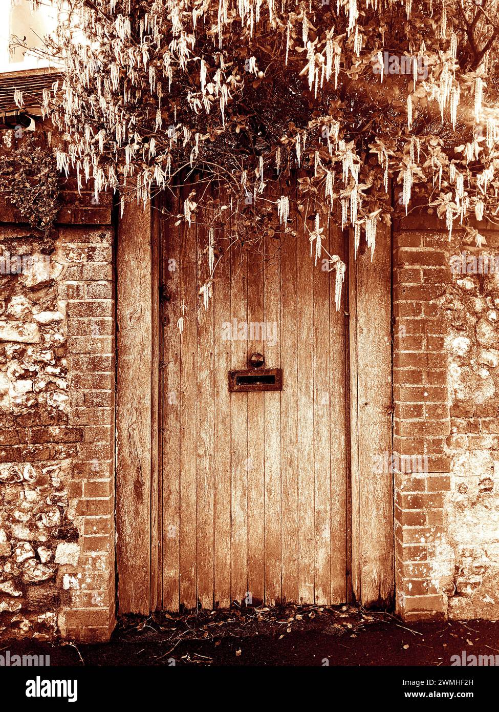 A Antique Historic Secret Door in a Stone Wall Stock Photo - Alamy