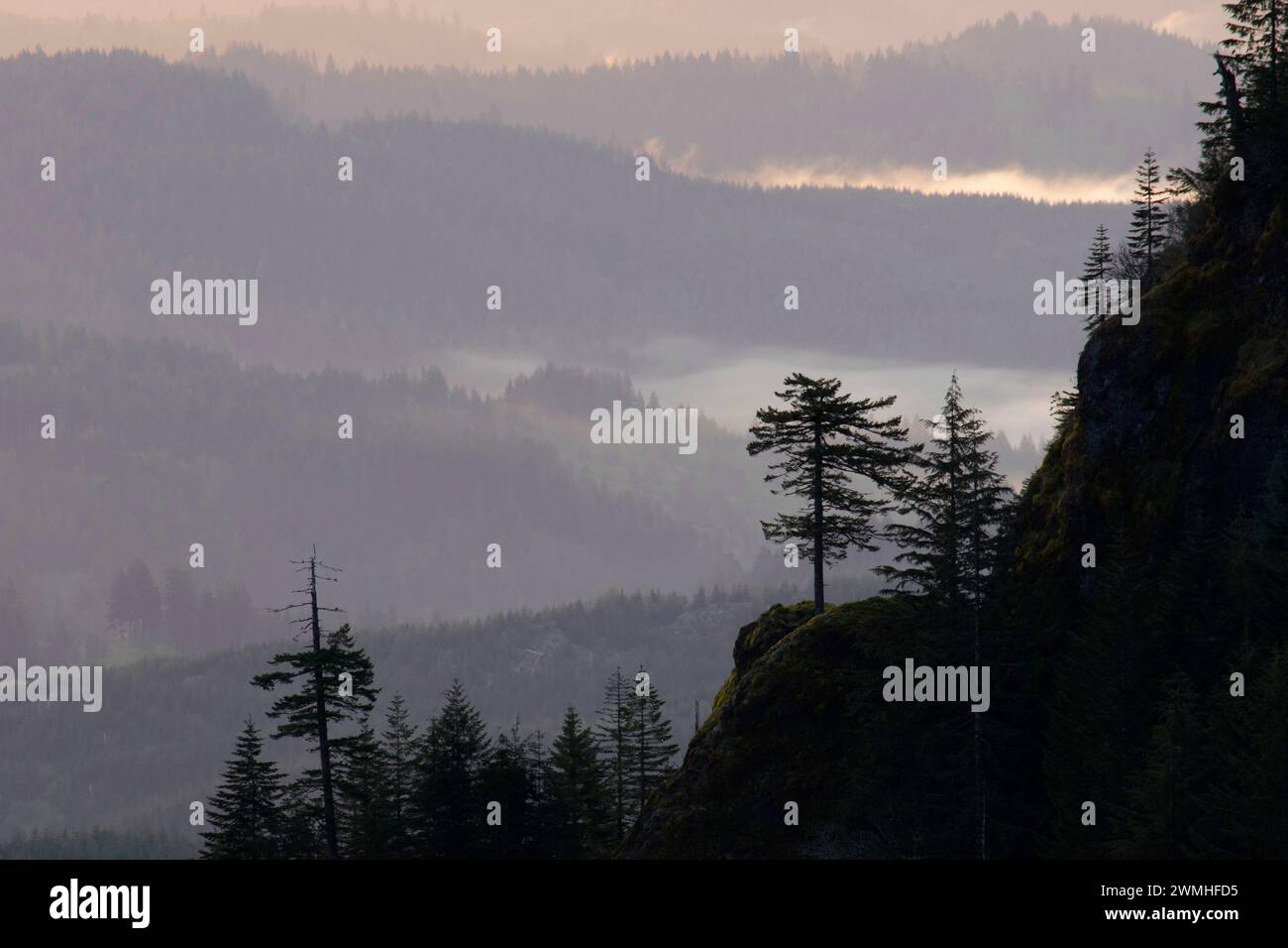 View from summit viewpoint, Saddle Mountain State Park, Oregon Stock ...