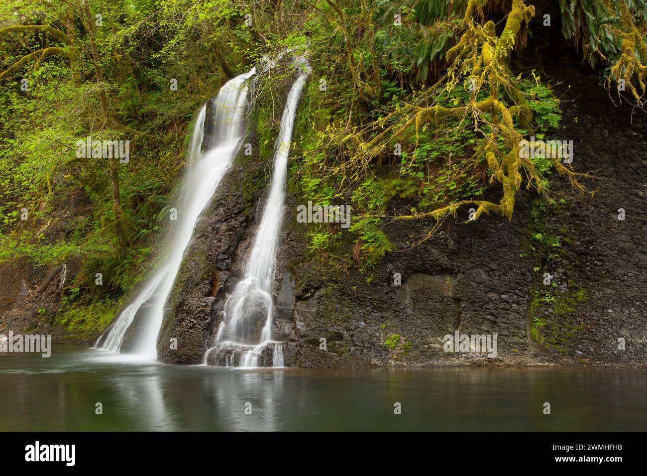 Cascade hatchery hi-res stock photography and images - Alamy