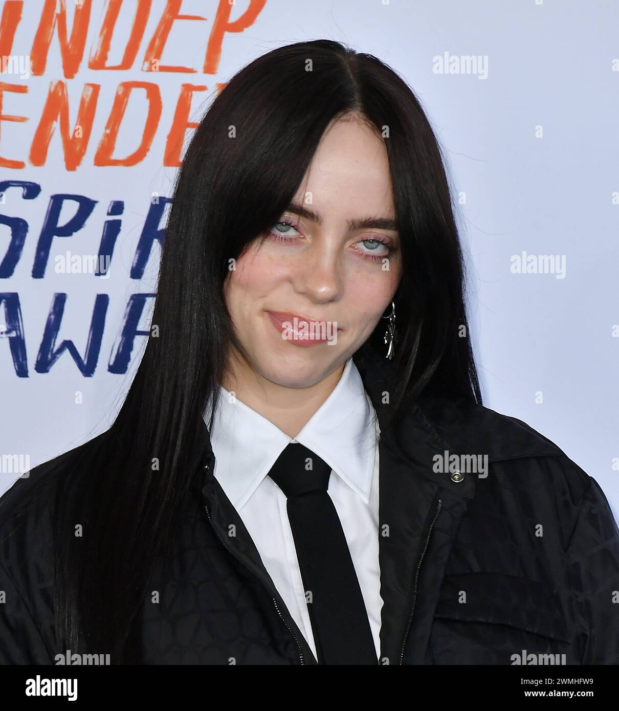 Billie Eilish attends the 2024 Film Independent Spirit Awards on ...