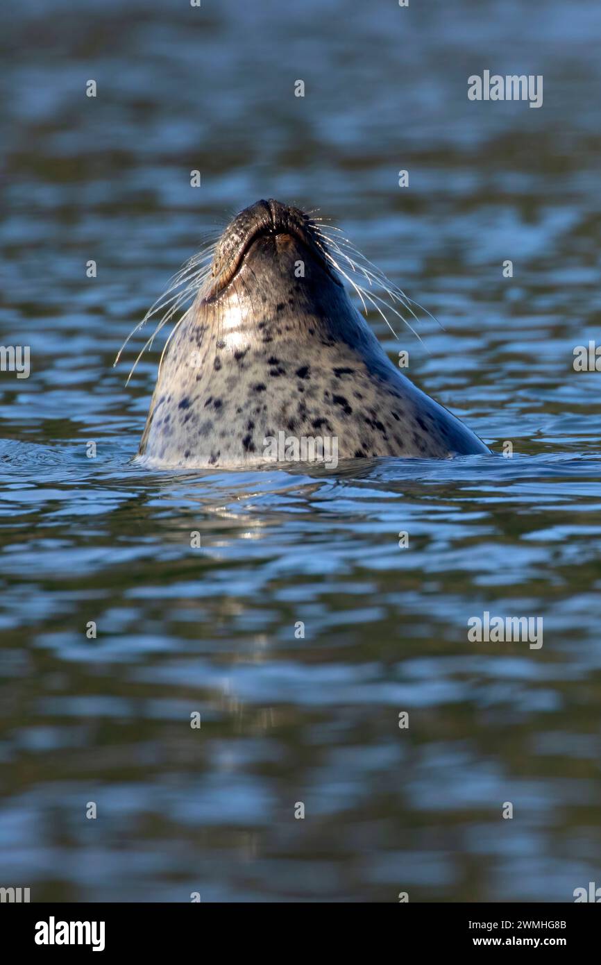 Cascade marine park hi-res stock photography and images - Alamy