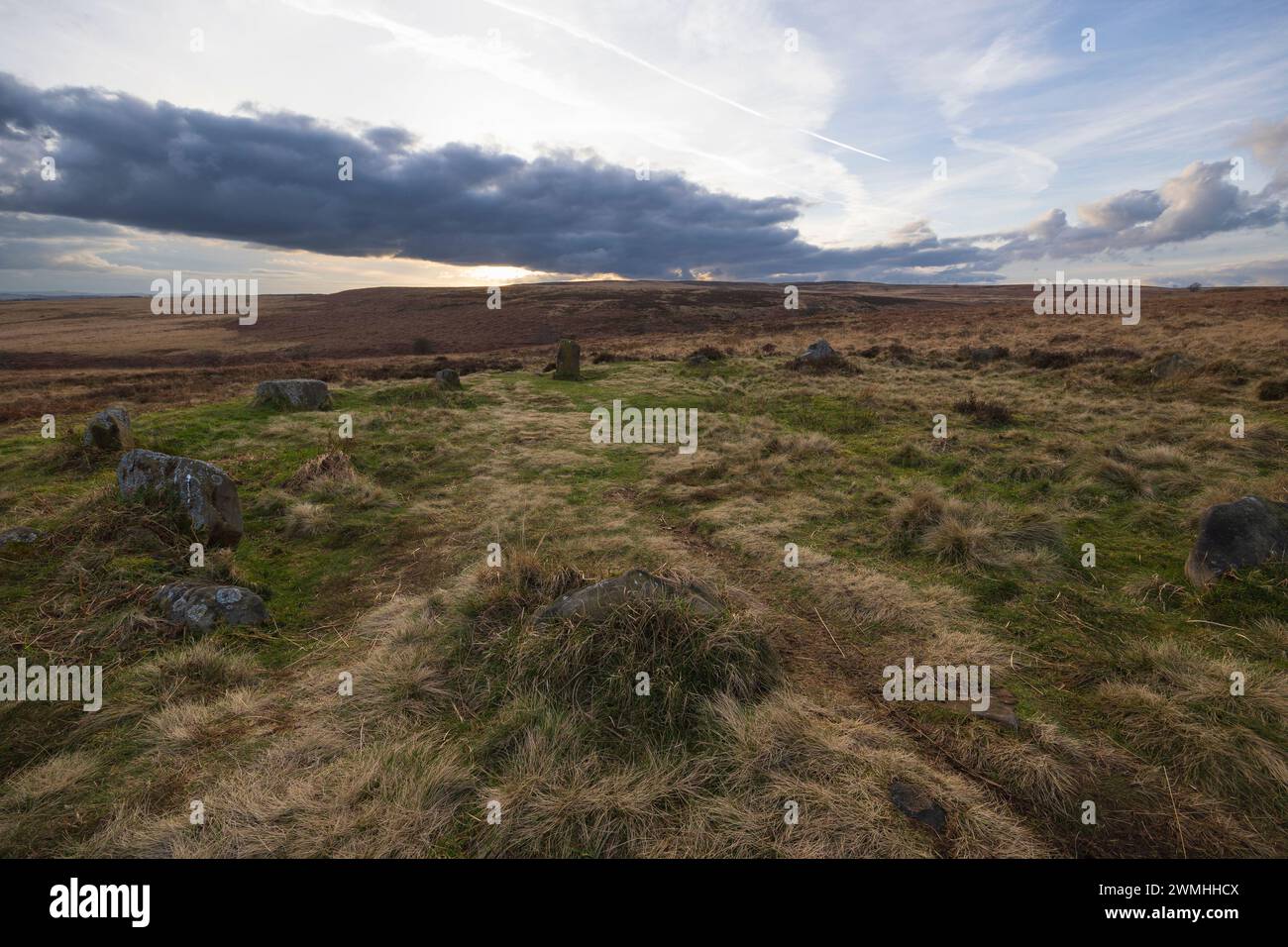 Barbrook hi-res stock photography and images - Alamy