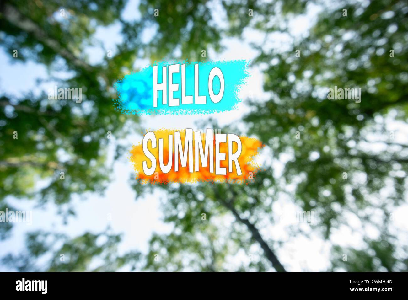 Whispering Secrets of a Summer Sanctuary, An Enigmatic Glimpse of ...