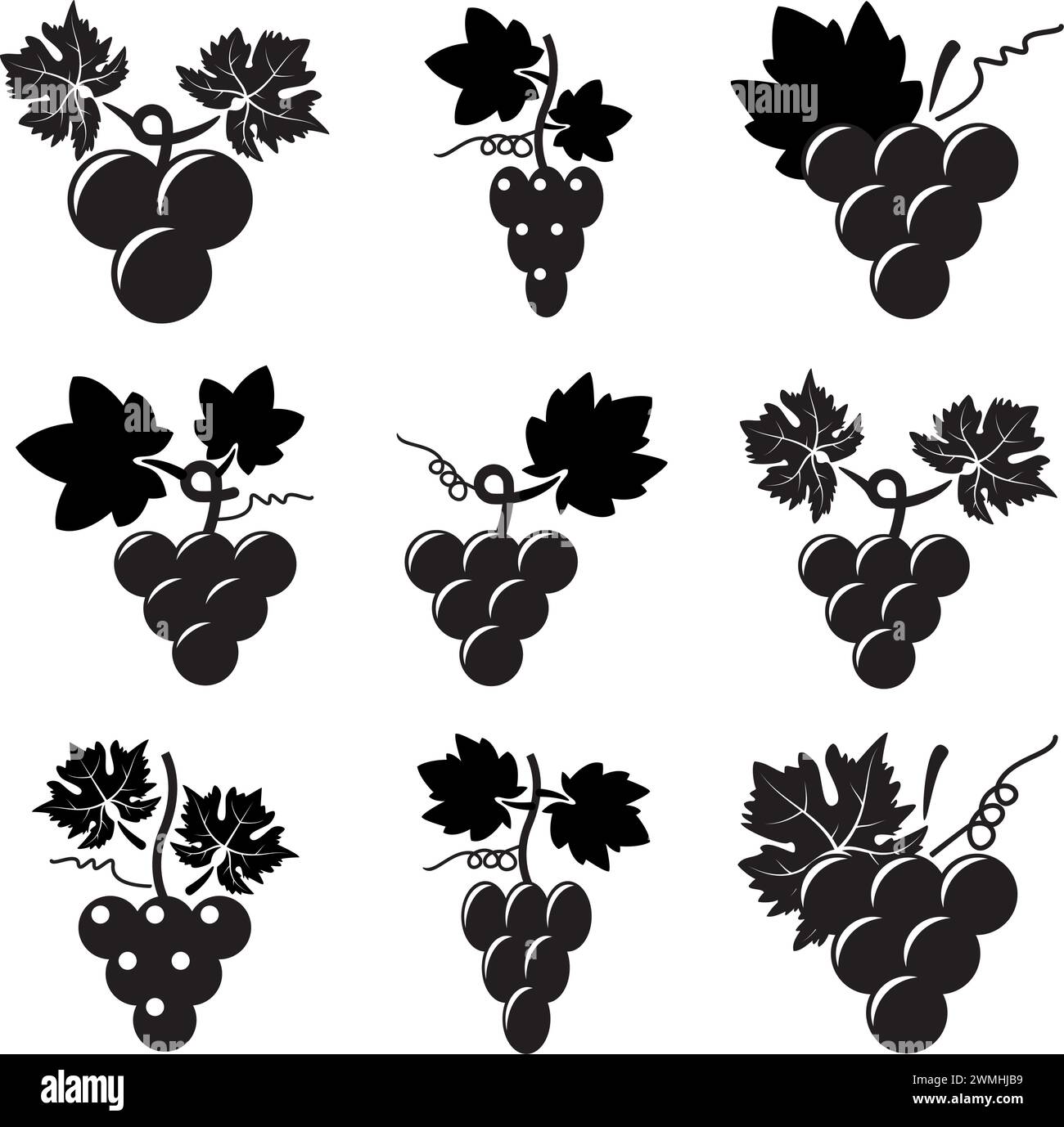 Tendril vector vectors Black and White Stock Photos & Images - Alamy