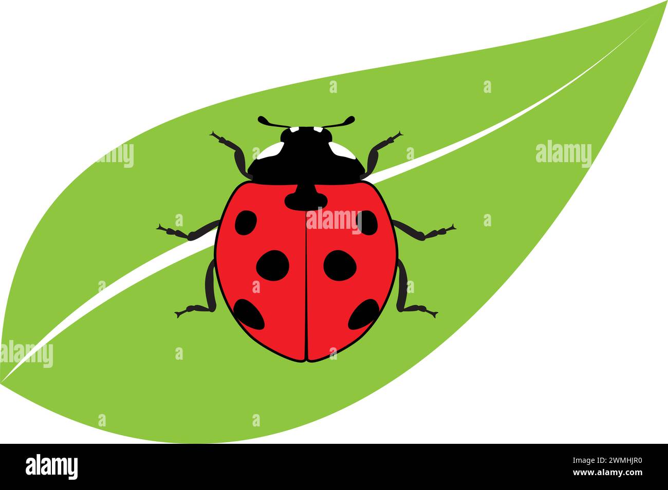 Red ladybird on green Stock Vector Images - Alamy