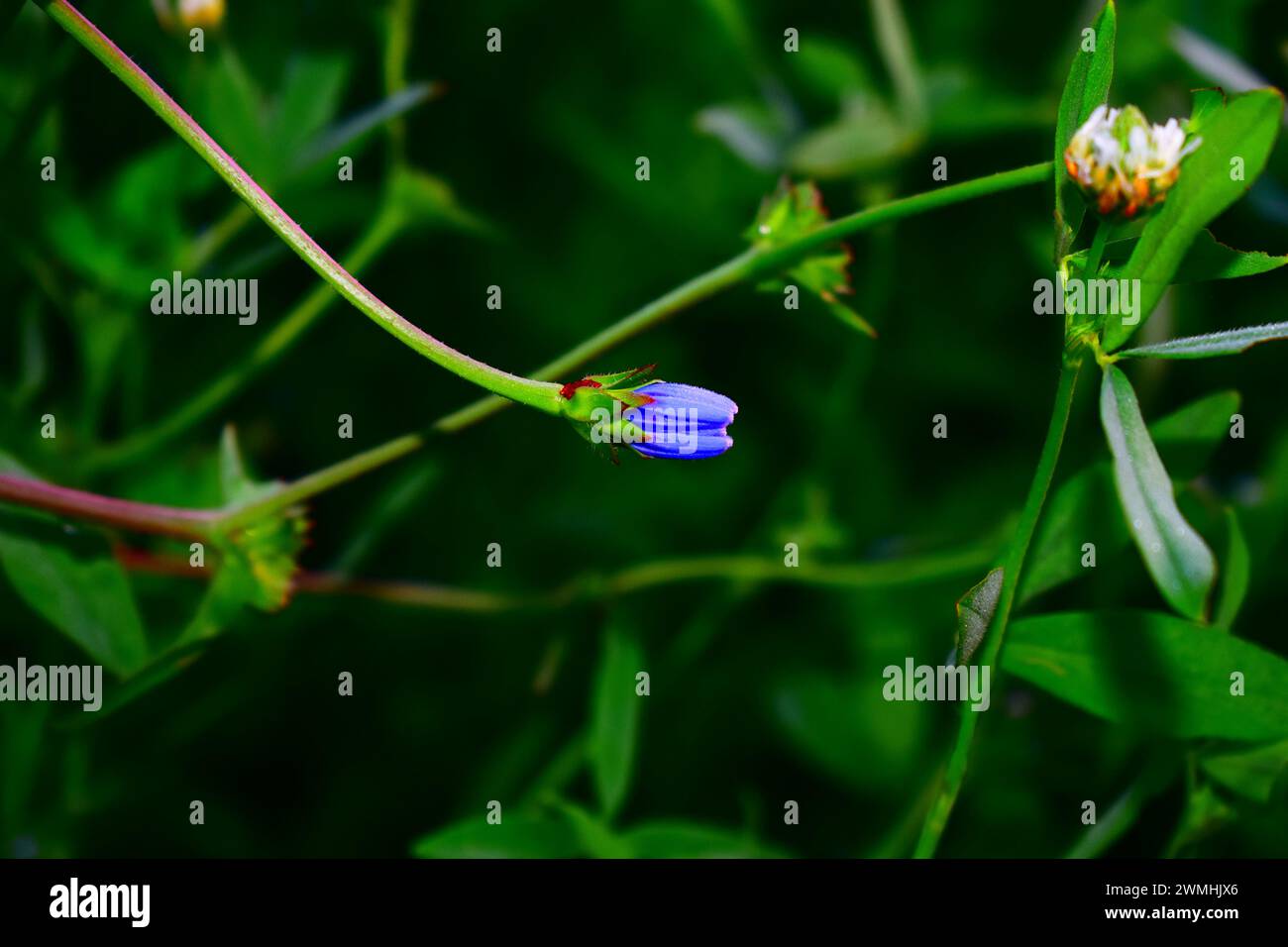 Almy hi-res stock photography and images - Alamy