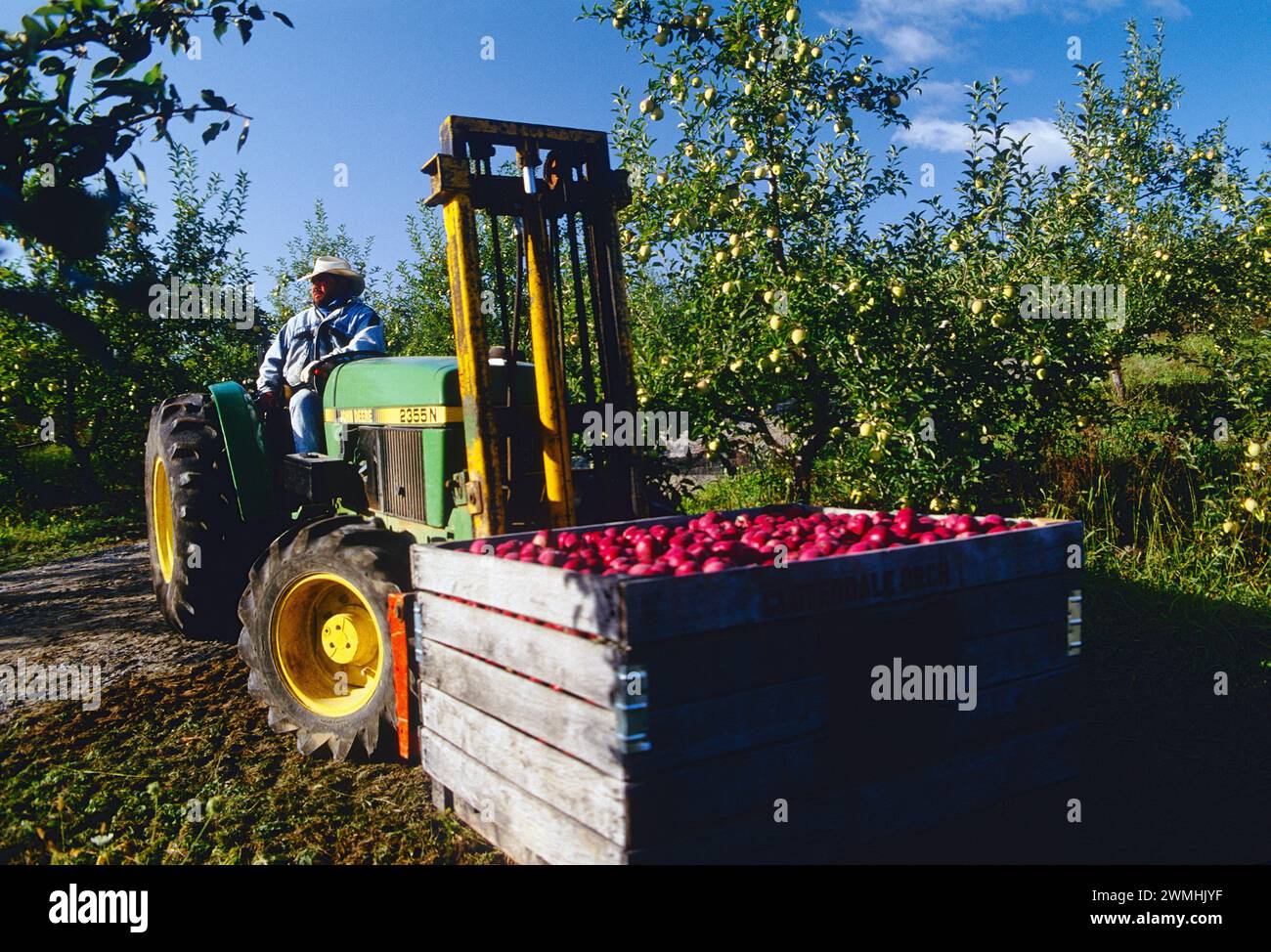 Apple picking machine hi-res stock photography and images - Alamy