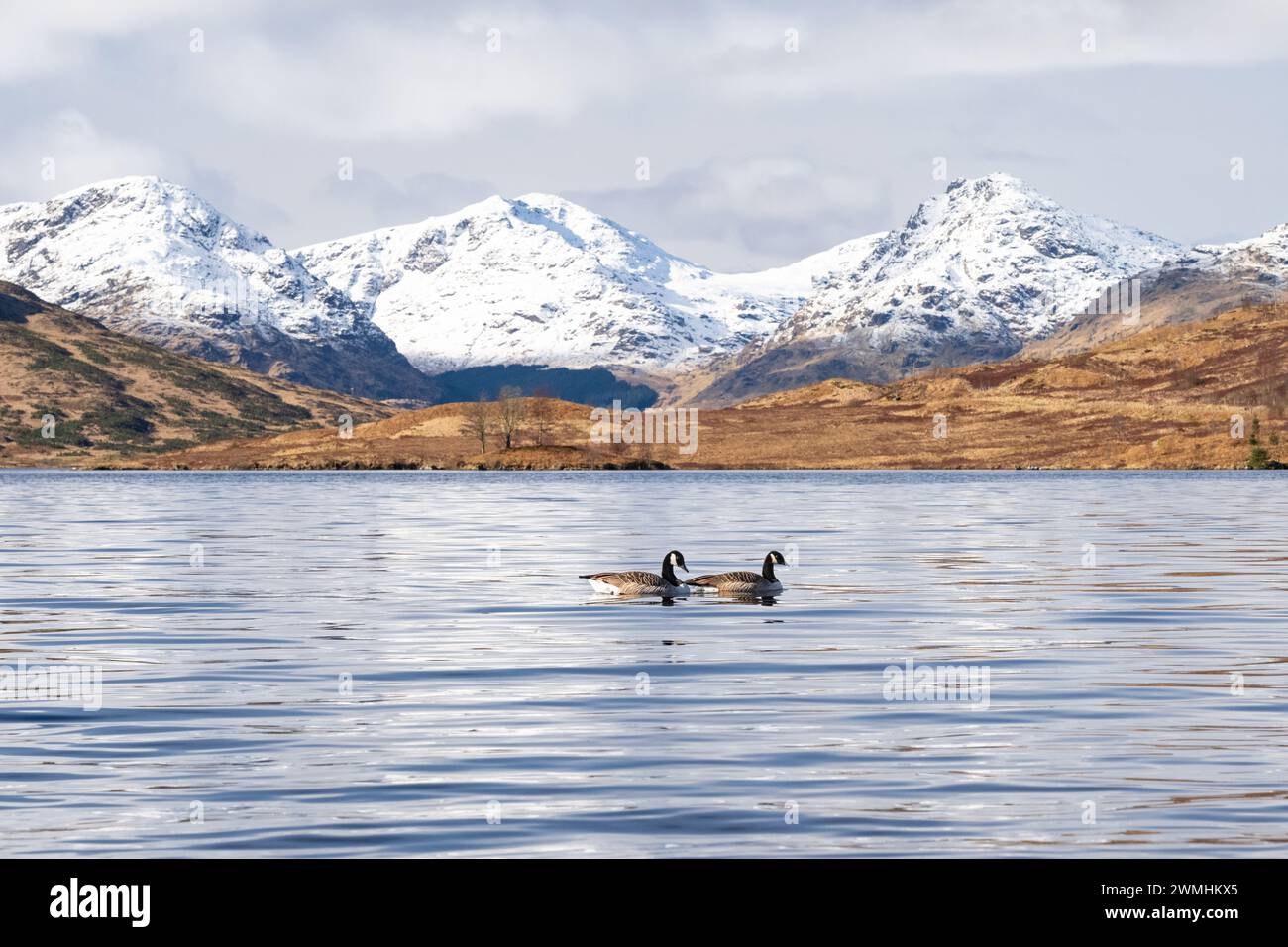 Loch Arklet, Loch Lomond and the Trossachs National Park, Scotland, UK ...
