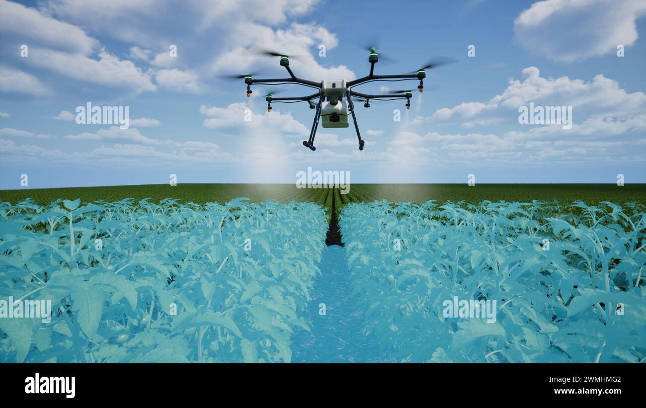 Agriculture drone using lidar scanning to spray fertilizer on the tomato fields, Innovation of ...