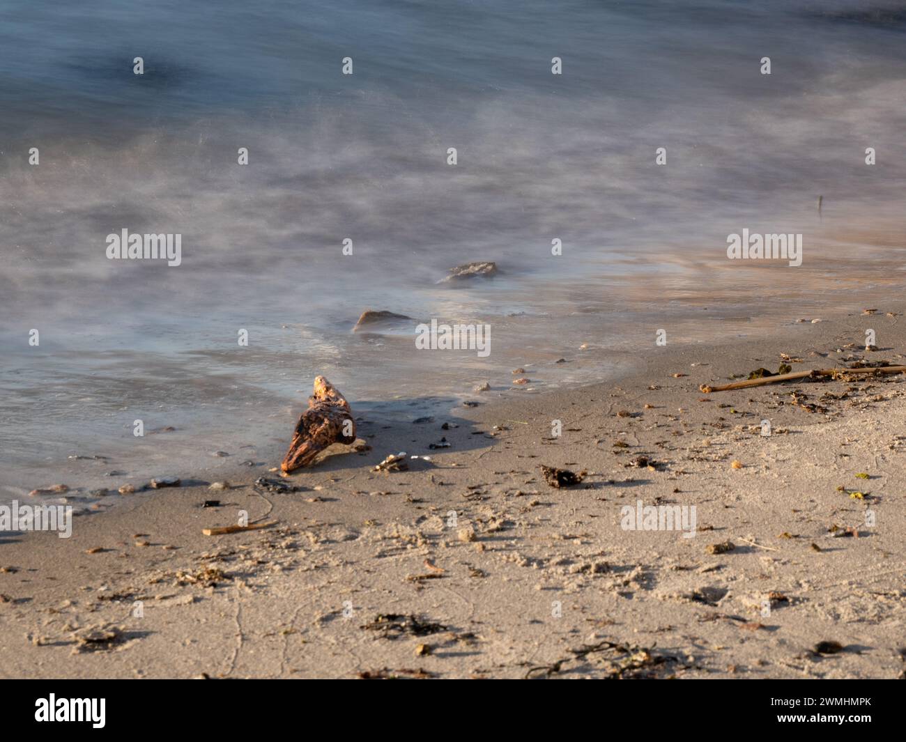 Sandy ecosystem hi-res stock photography and images - Alamy