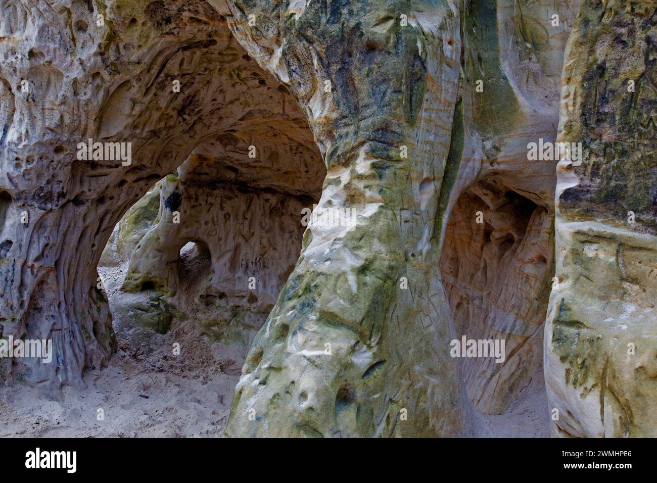 Carvings moss lichen in hi-res stock photography and images - Alamy