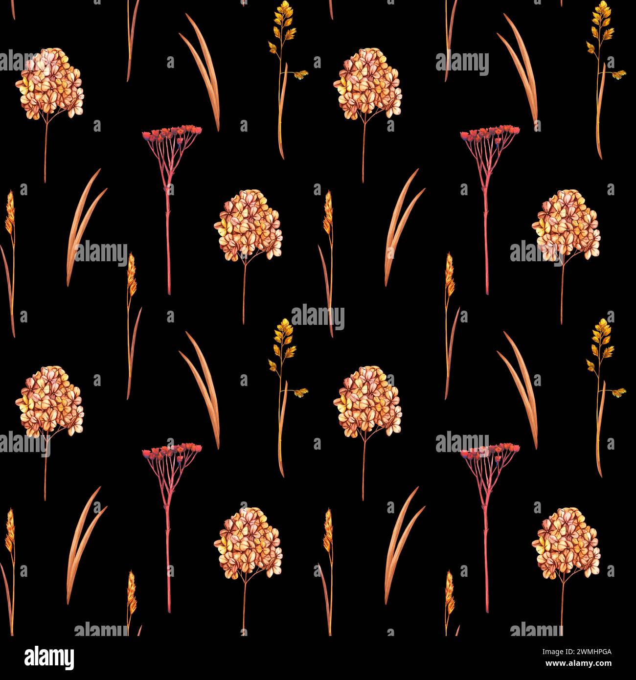 Seamless pattern with dried hydrangea, meadow leaves and wild dry grass ...