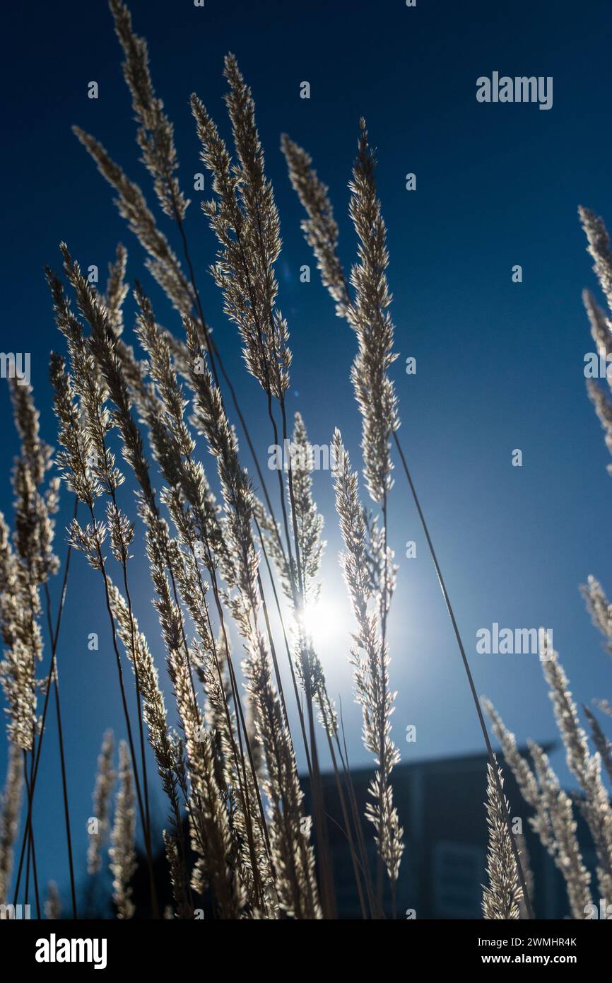Sunlit hiking trails hi-res stock photography and images - Alamy
