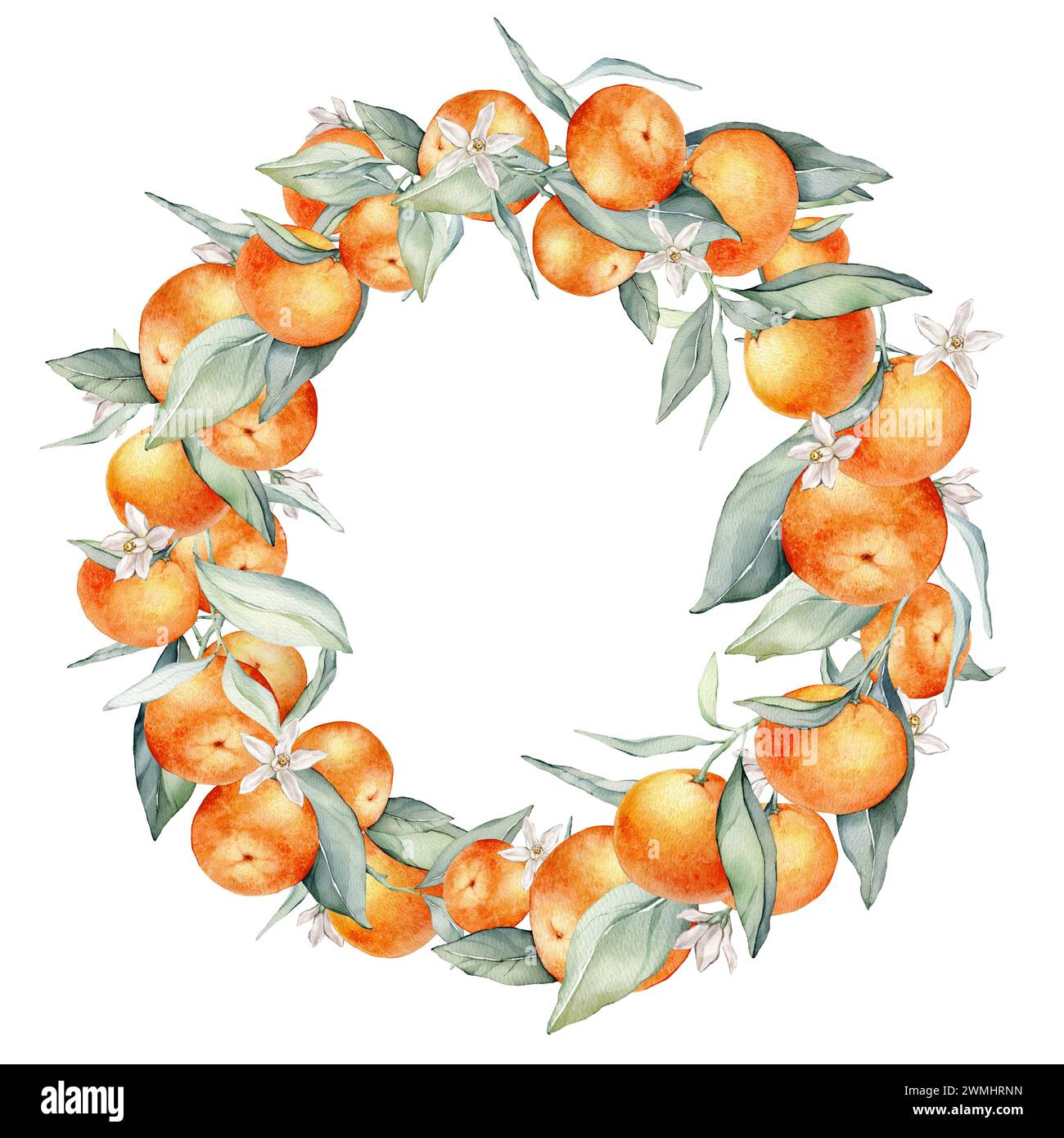 Wreath with Orange Fruits. Hand drawn watercolor illustration of ...
