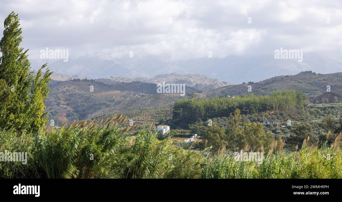 Island of Crete with plantation of citrus trees and fruits in the ...