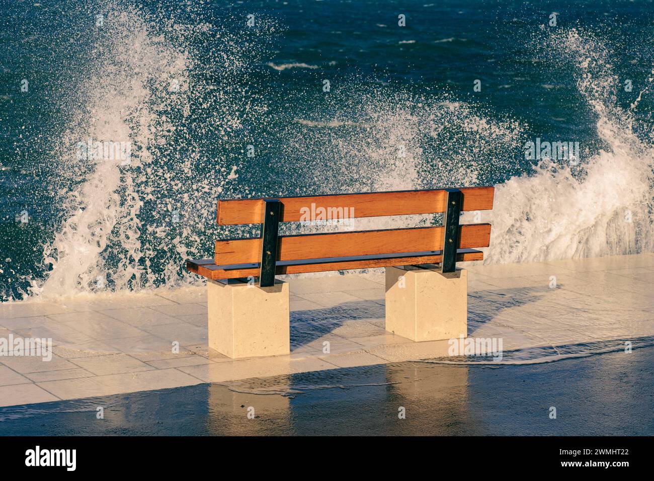 Beautiful forest near sea hi-res stock photography and images - Alamy