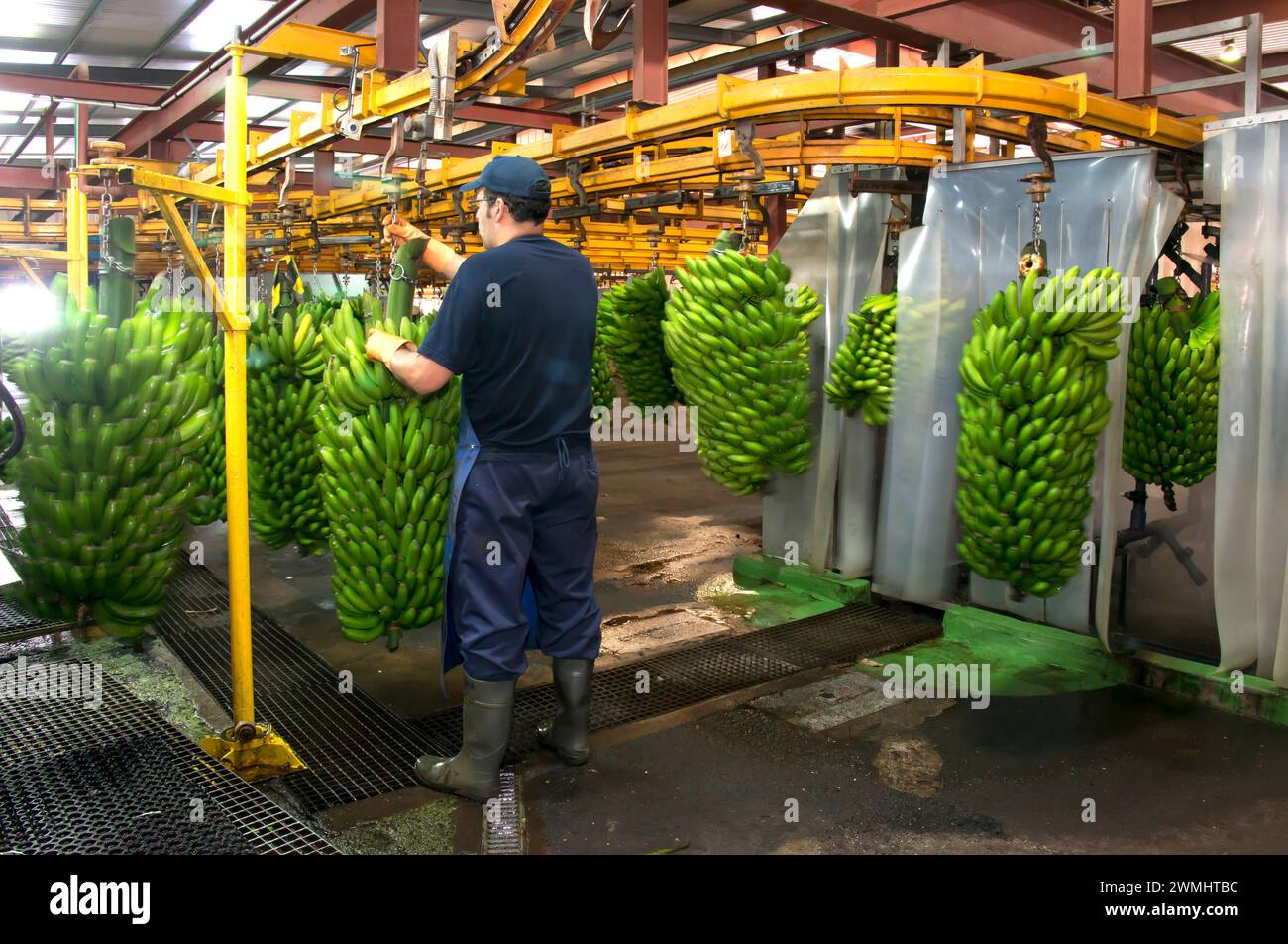 Preparation packaging hi-res stock photography and images - Alamy