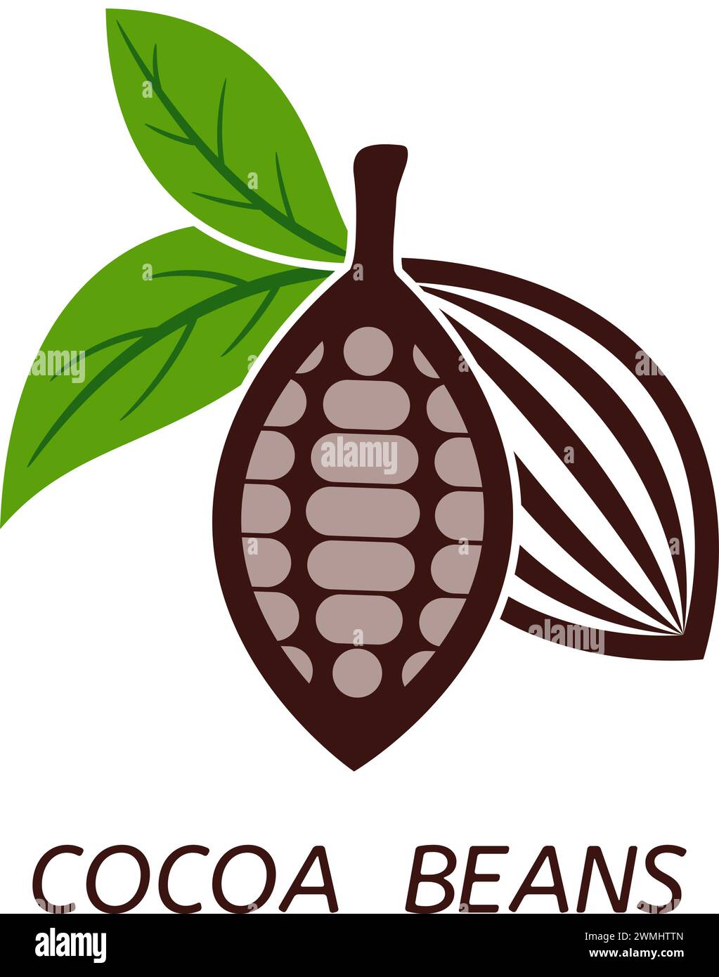 vector icon of cocoa beans with green leaves and cocoa beans text. chocolate organic food symbol ...