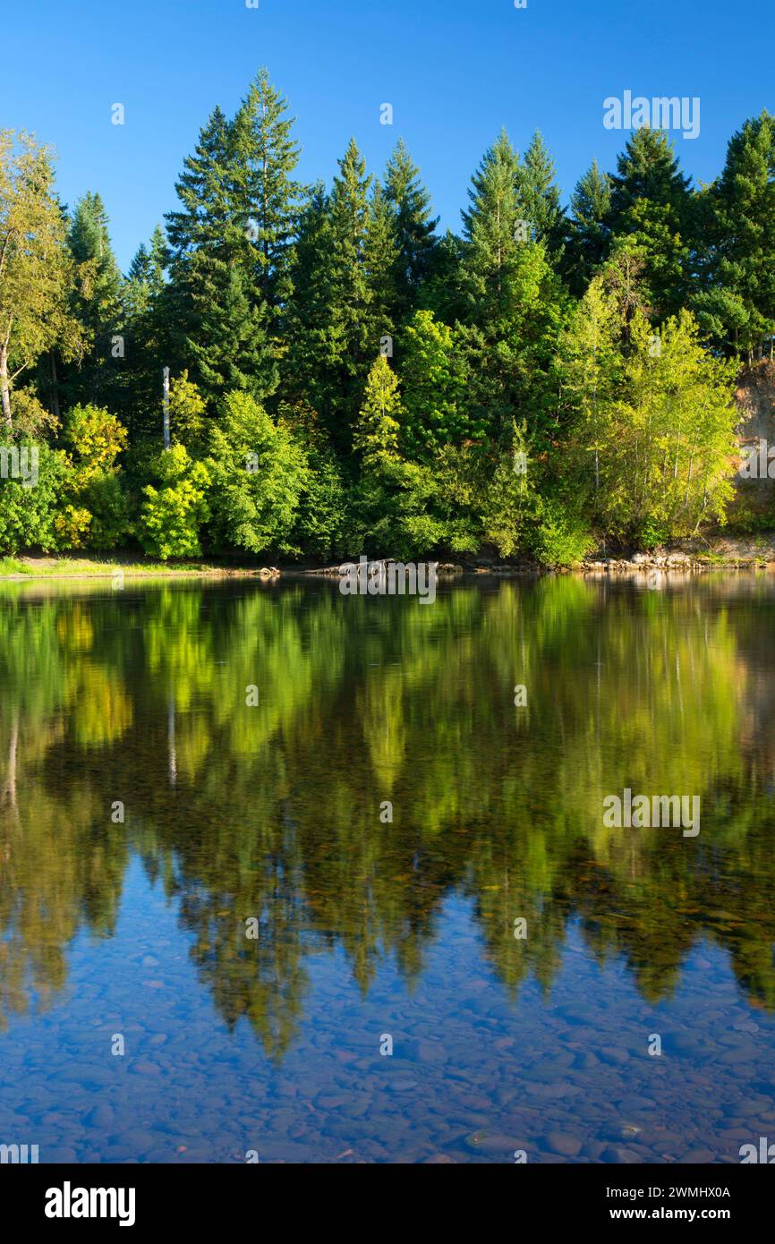 Willamette River, Willamette Mission State Park, Oregon Stock Photo - Alamy