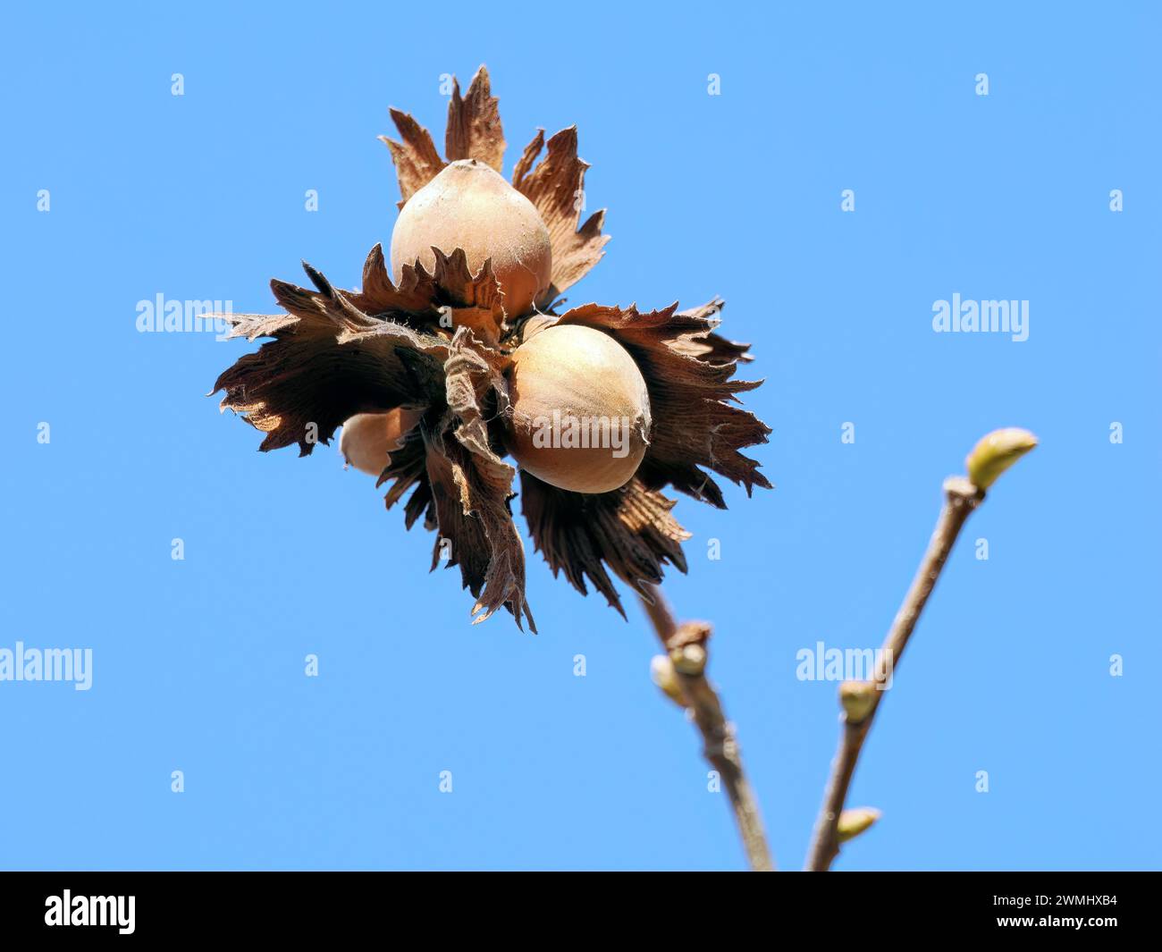 Lat 47 51798325 hi-res stock photography and images - Alamy