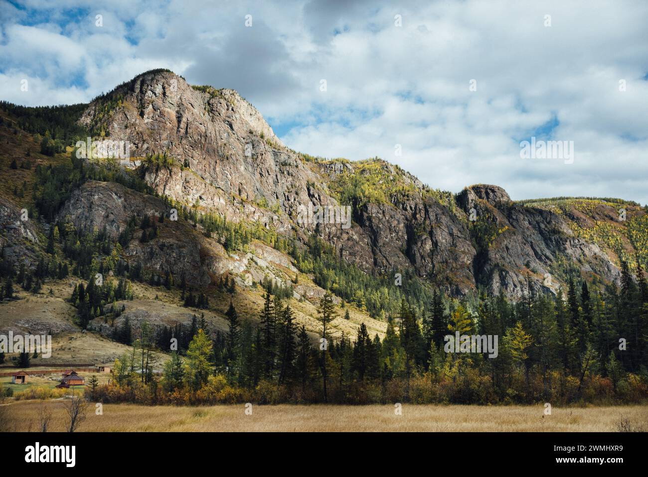 A towering mountain rises above a golden field, its rugged face a ...