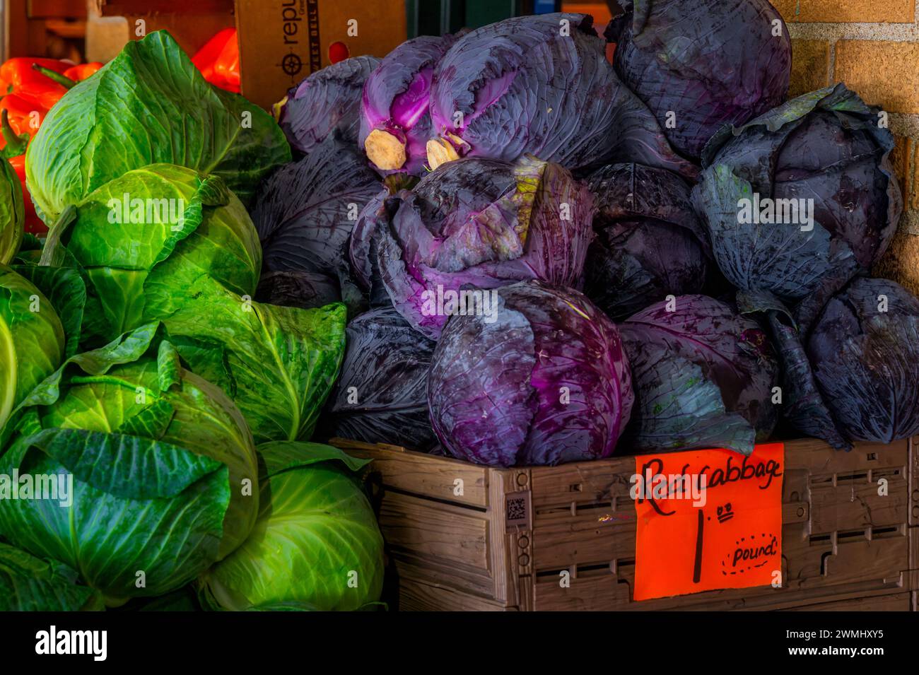 The red and green cabbages in the market Stock Photo - Alamy