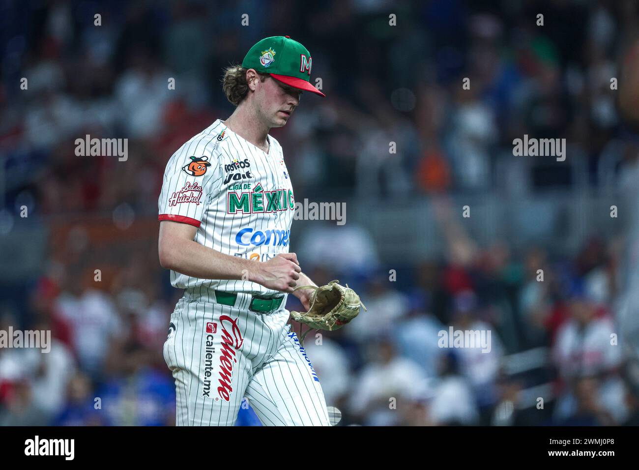 MIAMI, FLORIDA - FEBRUARY 2: Curtis Taylor, pitcher Naranjeros de ...