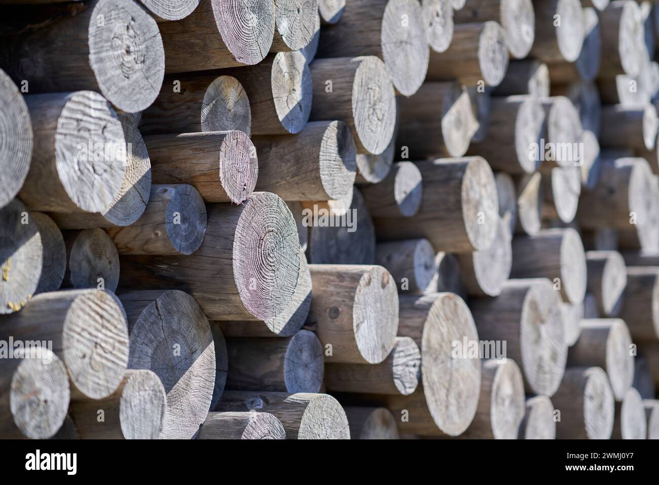 A collection of logs stacked on wooden poles Stock Photo - Alamy