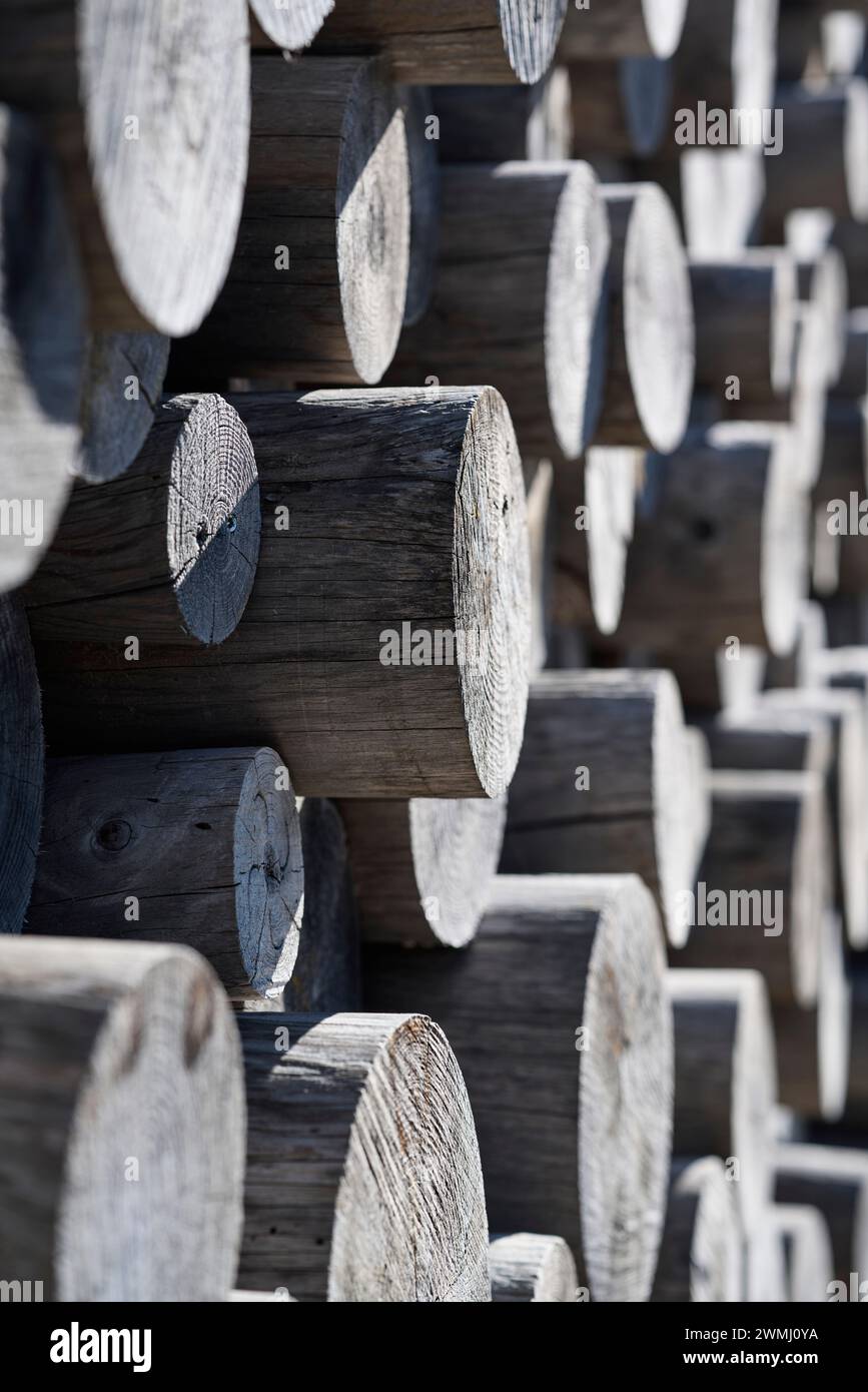 Poles stack hi-res stock photography and images - Alamy