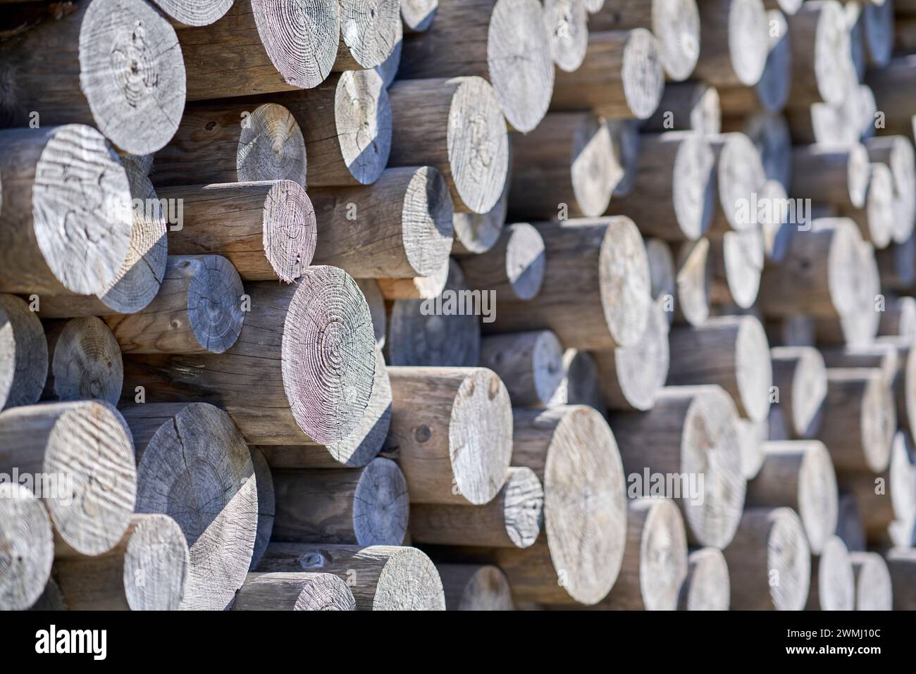 A collection of logs stacked on wooden poles Stock Photo - Alamy