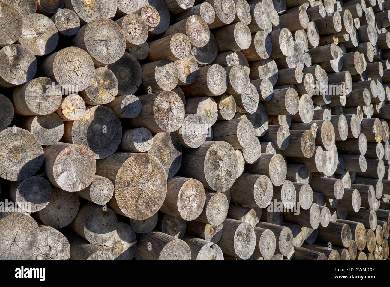 The Wood logs stacked illuminated by the sun Stock Photo - Alamy