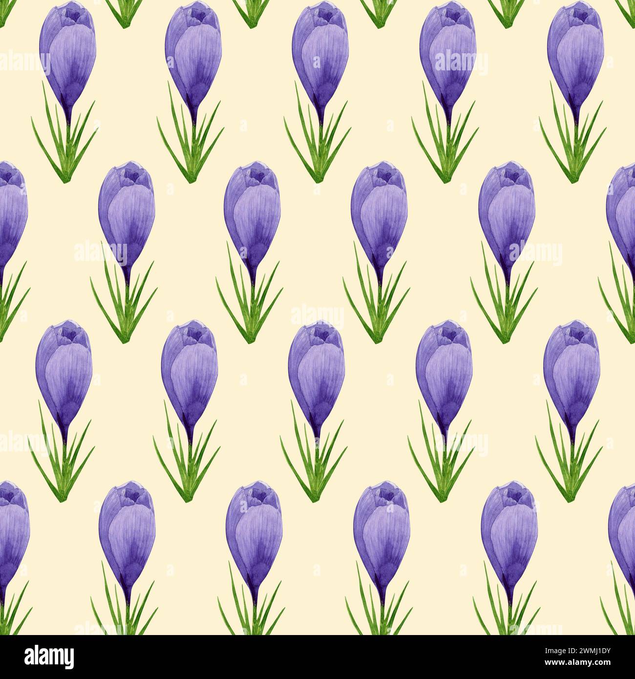 Watercolor purple crocuses seamless pattern, spring flower digital paper on yellow background ...