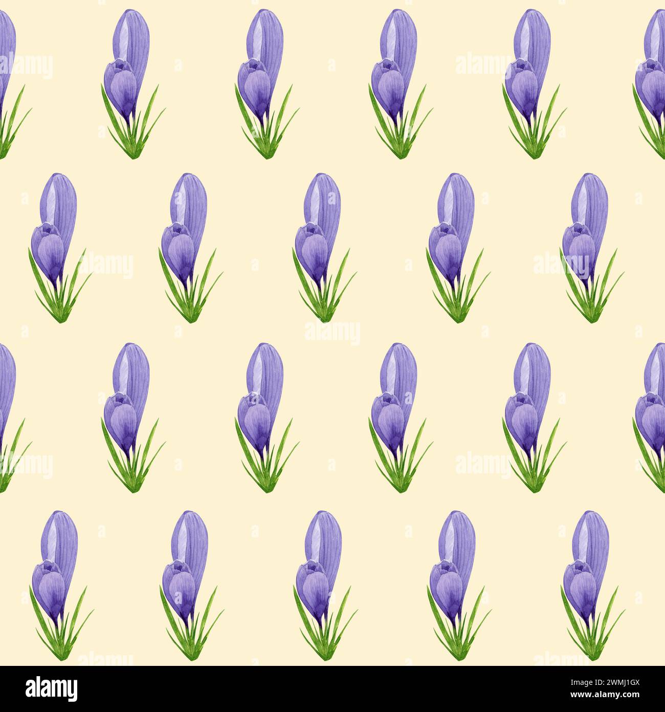 Watercolor purple crocuses seamless pattern, spring flower digital ...