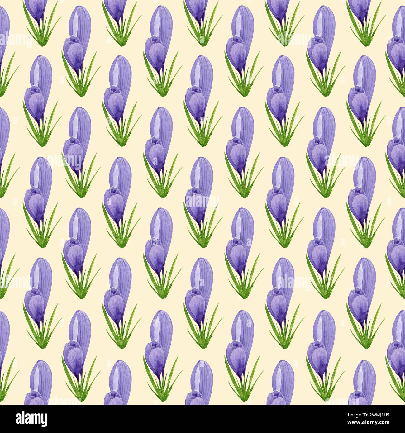 Watercolor purple crocuses seamless pattern, spring flower digital paper on yellow background ...