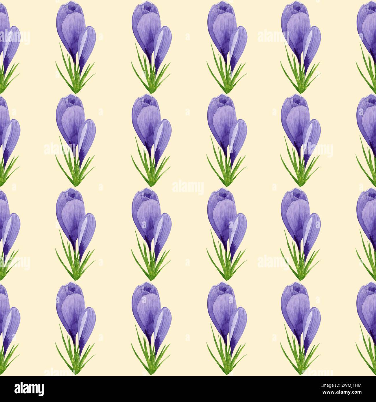 Watercolor purple crocuses seamless pattern, spring flower digital paper on yellow background ...