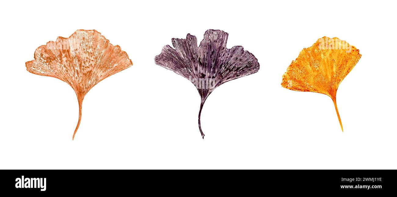 Design modern leaf imprint of biloba. Leaves in golden, brown colors ...