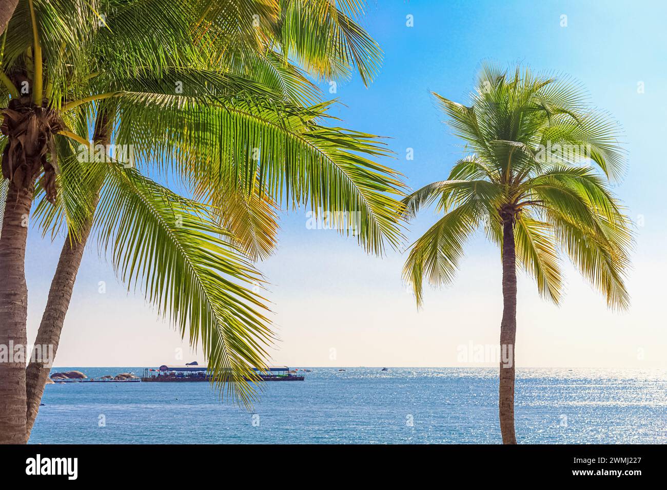 View of the coastline of the South China Sea through palm trees. Sanya ...